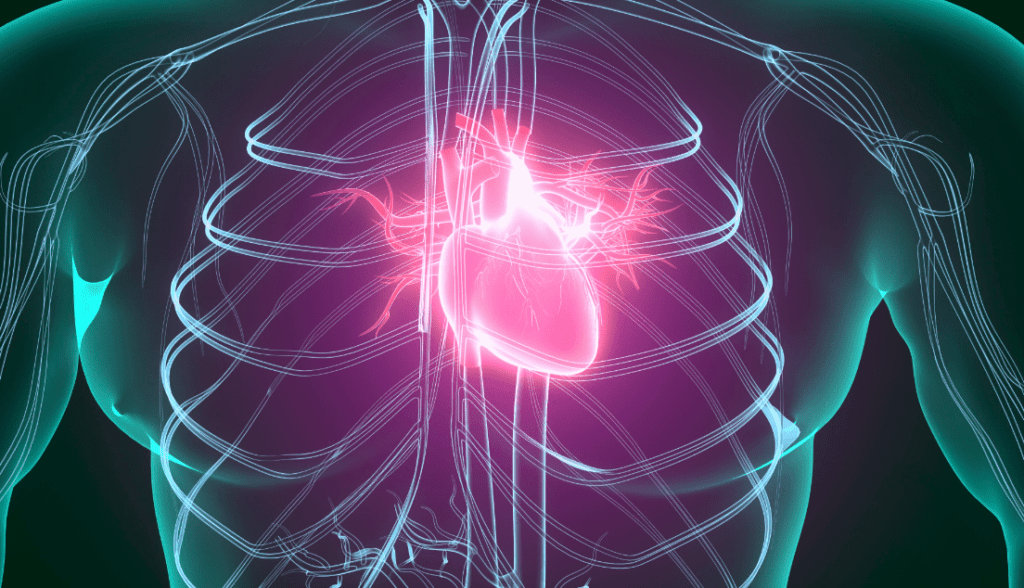 Cardio4all | Formação Científica em Medicina Cardiovascular